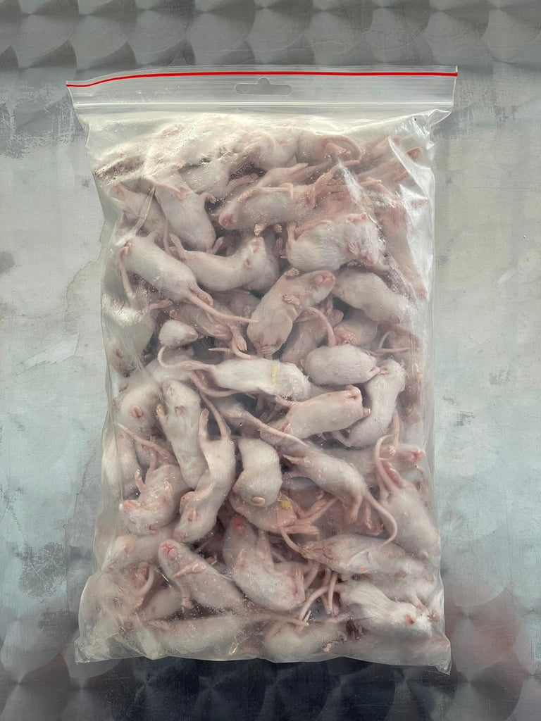 Fuzzy / Fluff Mice - 3-5g - Pack of 25 – Rattlesnacks